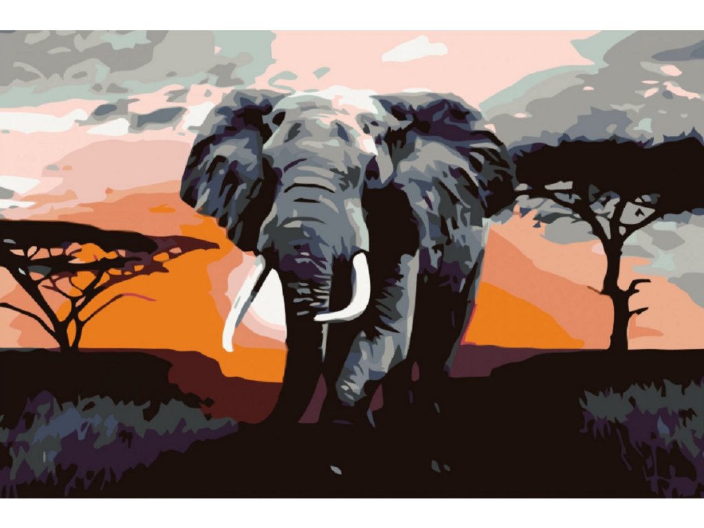 Sloni - Maluješ.cz malování podle čísel