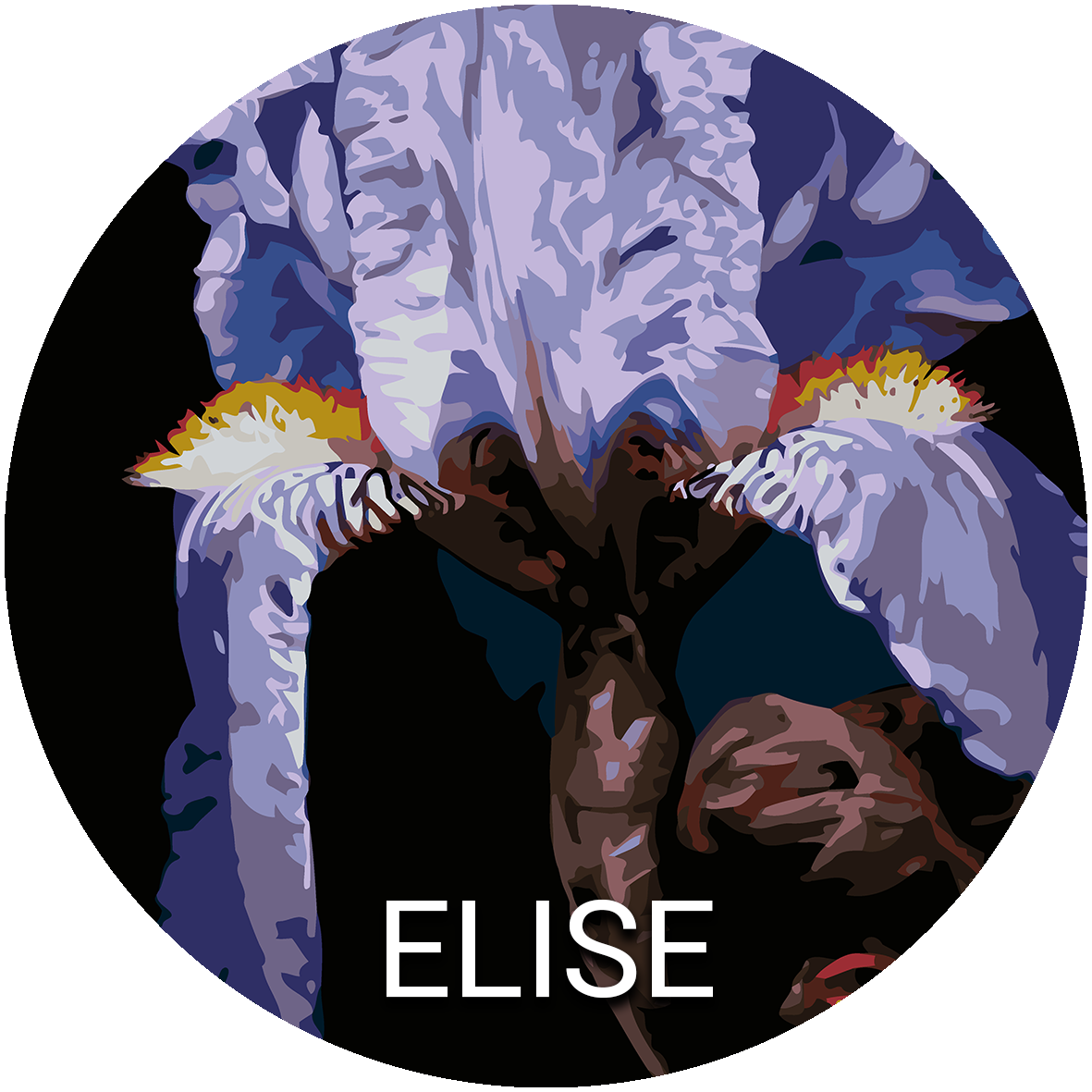 Obrazy od Elise - Maluješ.cz malování podle čísel